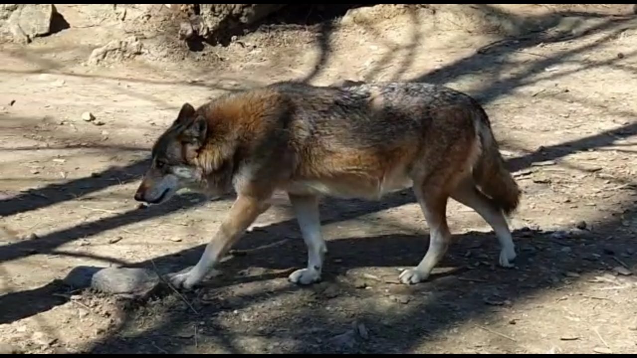 Edukativni filmovi | Zoo Zagreb