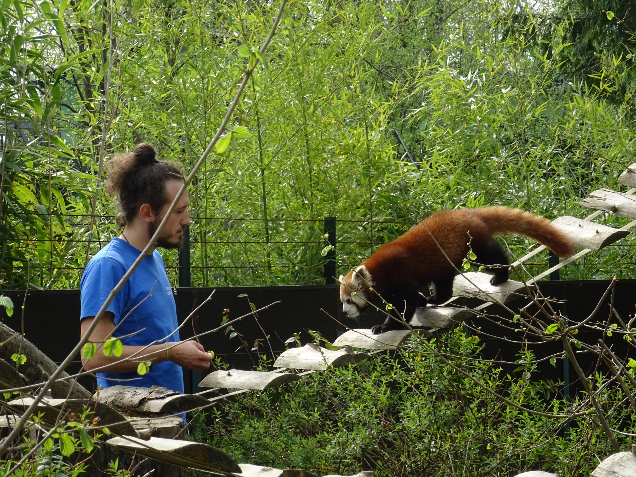 Stanovnici Zoološkog vrta počašćeni pisanicama | Zoo Zagreb