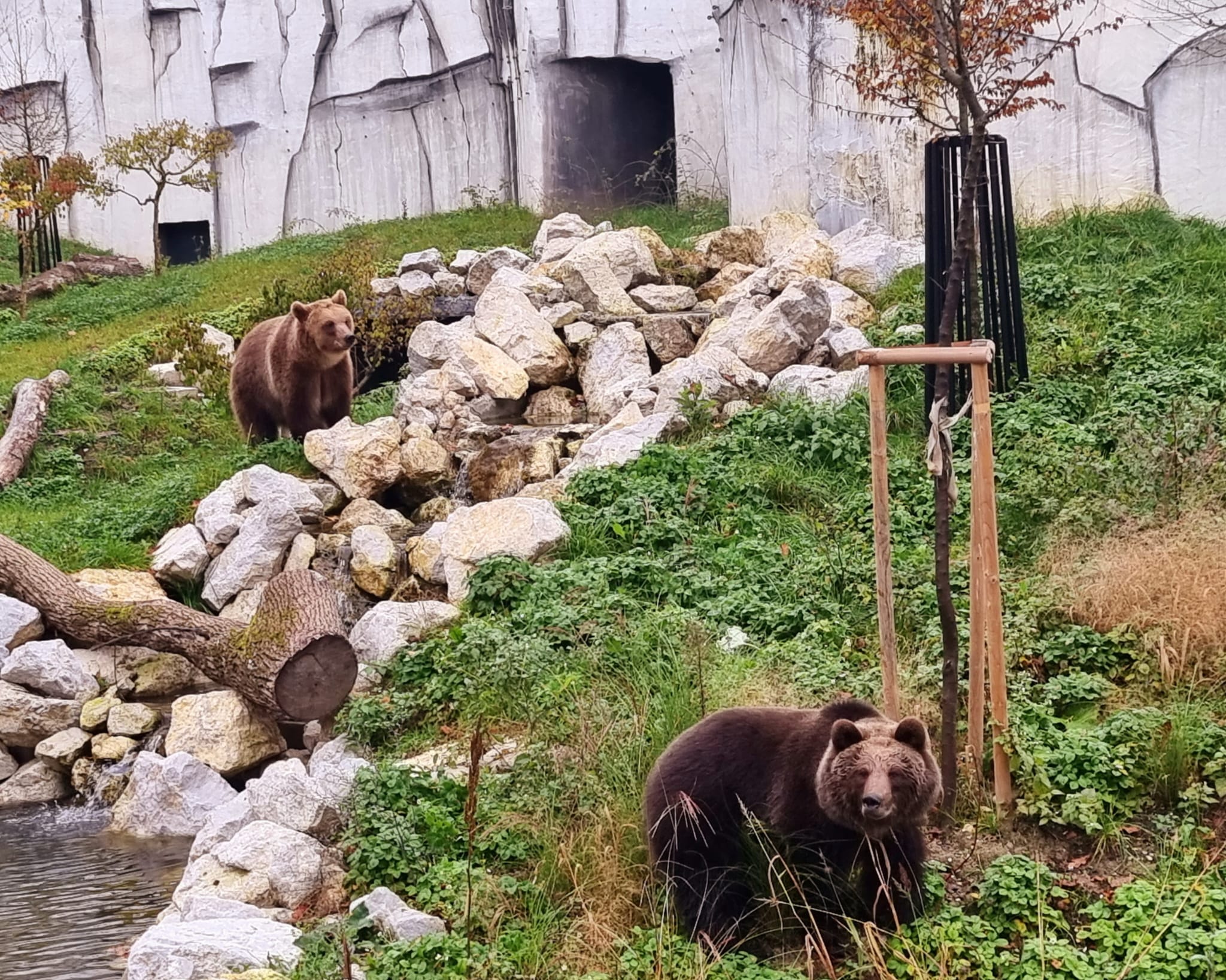 Zoo Zagreb | Ustanova Zoološki vrt grada Zagreba