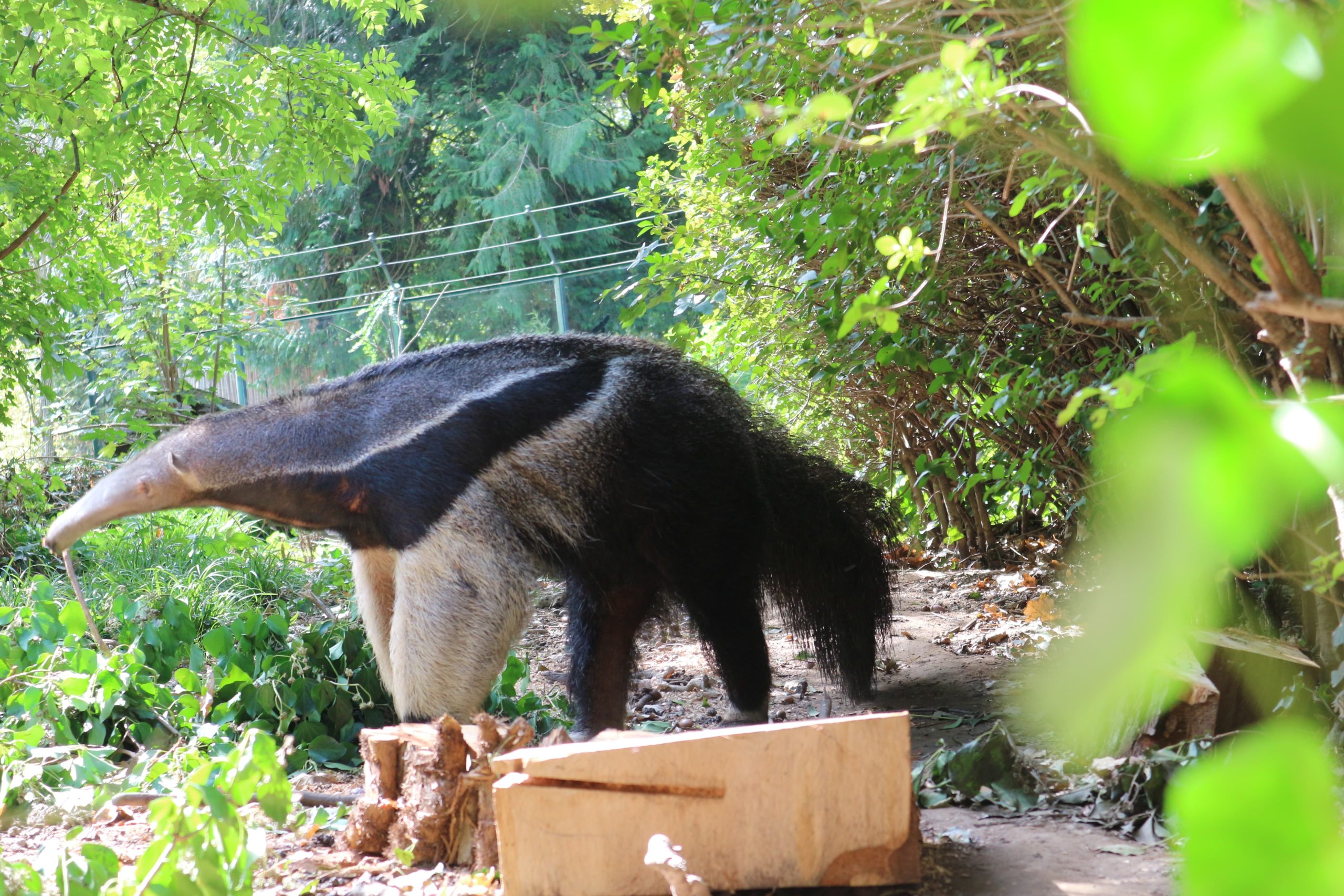 Vijesti | Zoo Zagreb